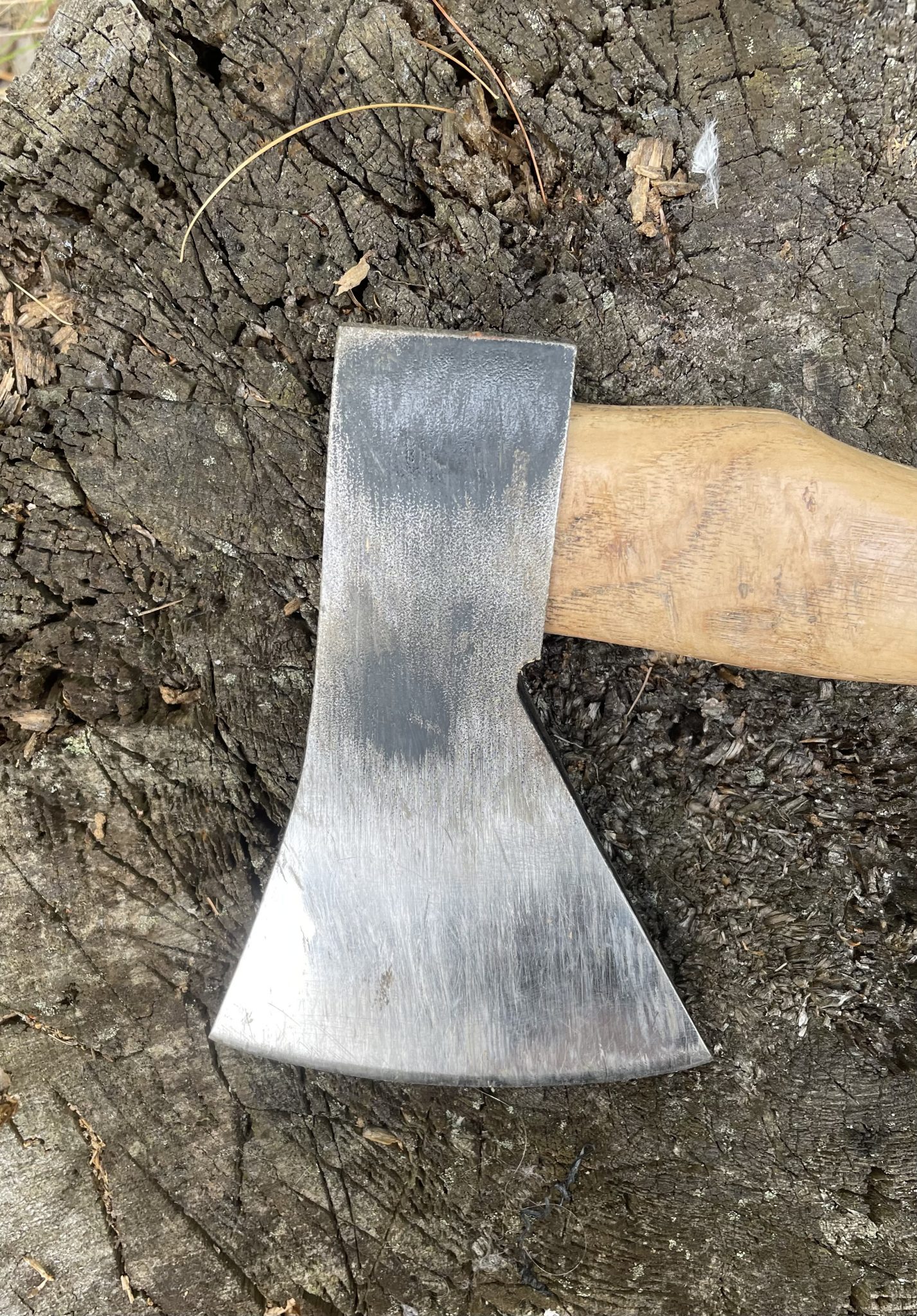 Cold Steel Trail Boss Review: My Favorite Ax by Far - Eclectic Outfitter