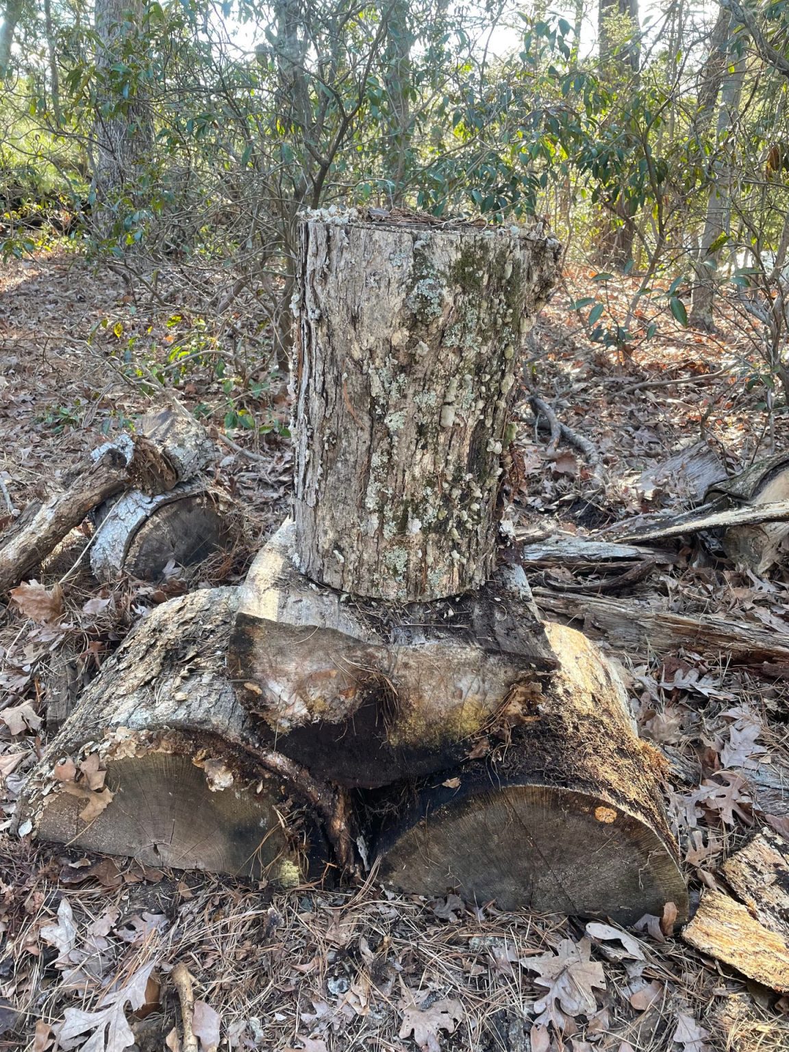 How to Split Wood on Uneven Ground (Without a Chopping Block ...