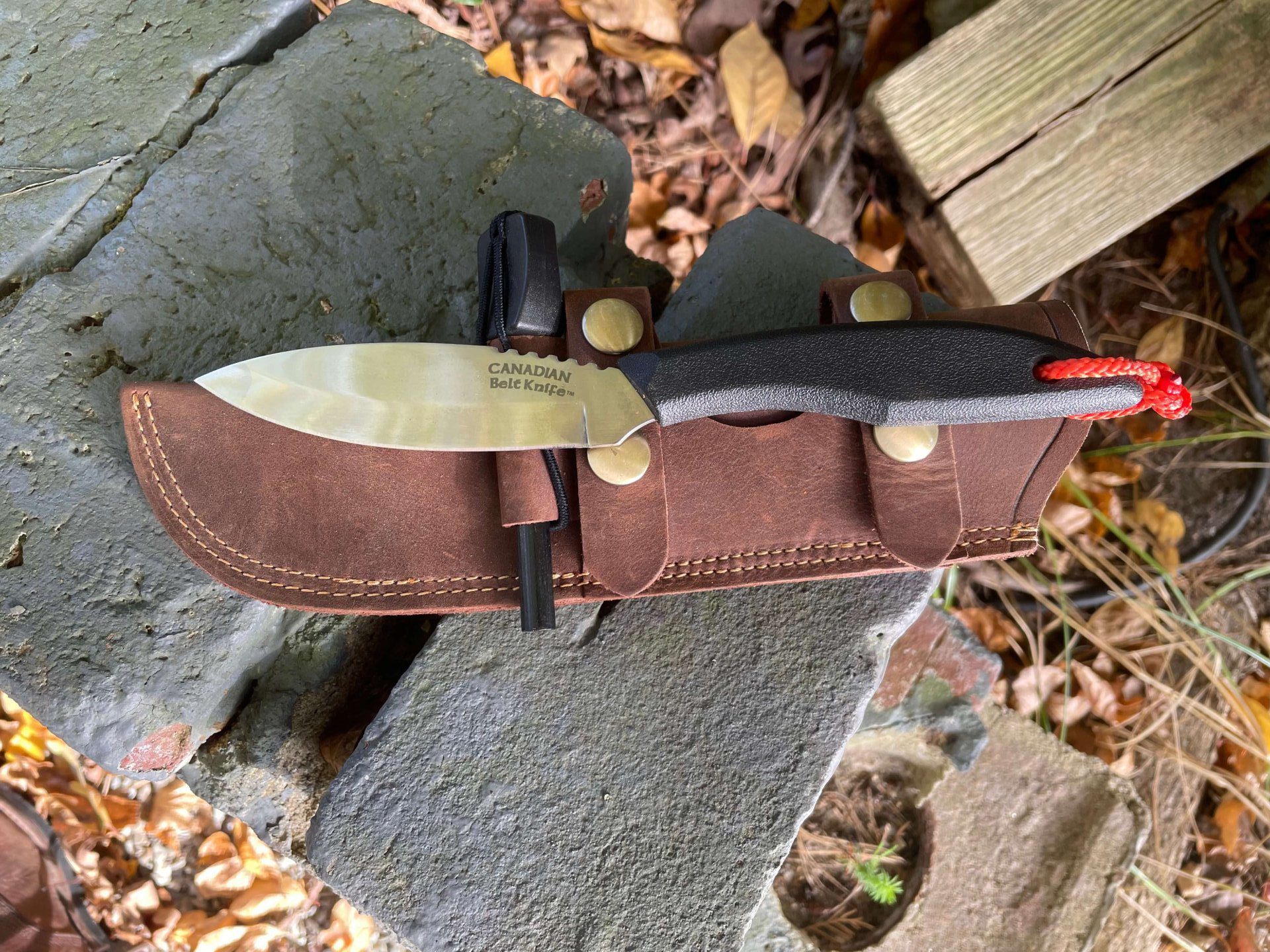 Knife Blade Profiles: The Definitive Guide - Eclectic Outfitter