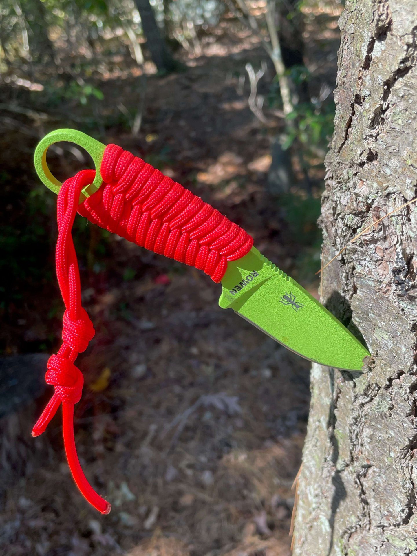 Knife Blade Profiles: The Definitive Guide - Eclectic Outfitter